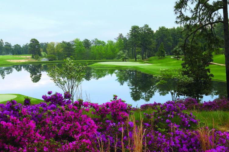 Pinehurst to Redesign Course 4, Create New Short Course | News ...