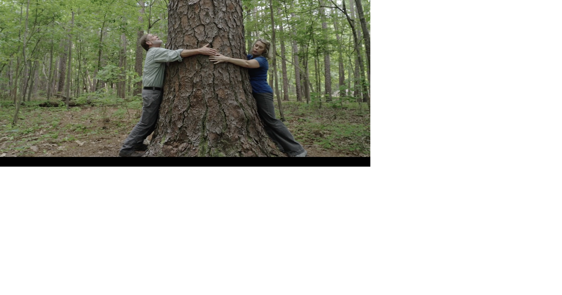 'Speaking of Trees': Weymouth’s Wonders Featured in Series | News ...