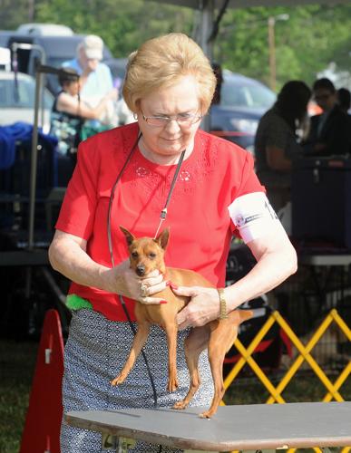 Capturing Canines: Scenes From the 42nd All-Breed Dog Show in Pinehurst ...