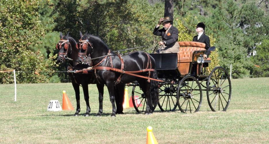 Combined Driving Event, Big Sky Farm | Multimedia | thepilot.com