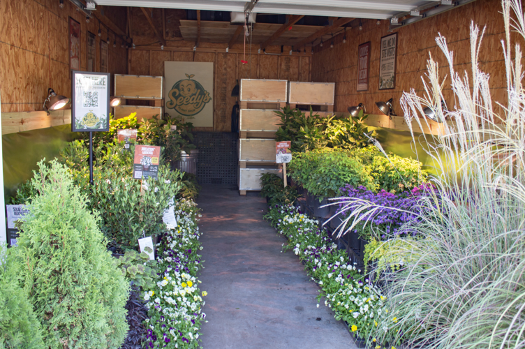 Here’s the Dirt on Seedy’s Plants | Business | thepilot.com