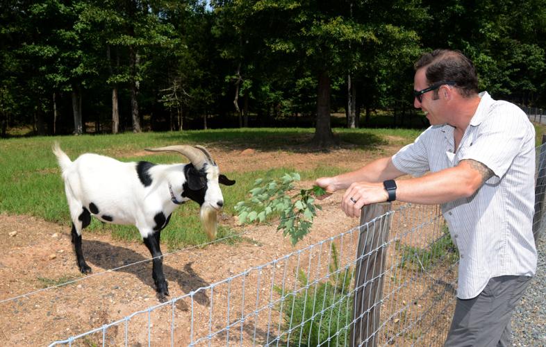Retiring Soldier Finds His Niche as a Goat Farmer | Business | thepilot.com