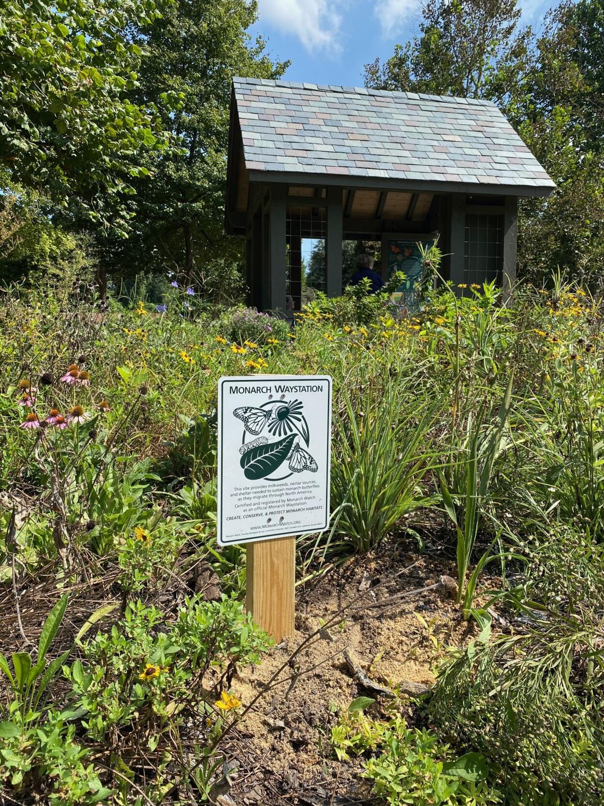 Native Pollinator Garden – Haven for Monarch Enthusiasts | Features ...
