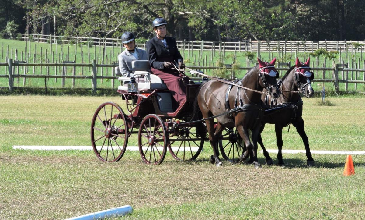 Combined Driving Event, Big Sky Farm | Multimedia | thepilot.com