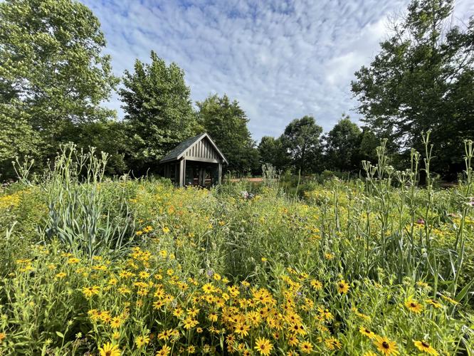 Native Pollinator Garden Is Bedazzled and Beautiful | Features ...
