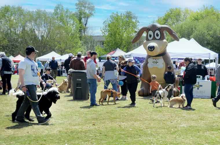 6th Annual Sandhills Dog Fair | Gallery | thepilot.com