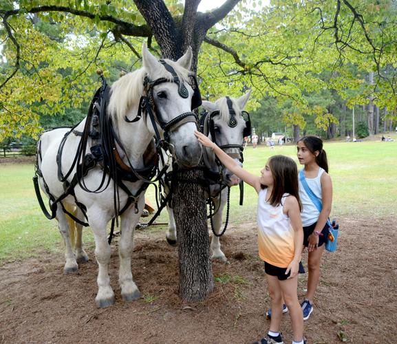 Malcolm Blue Festival | Gallery | thepilot.com