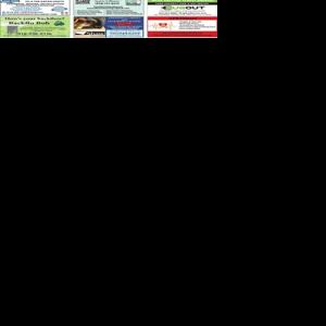 Page B011 | e-Edition | thepilot.com