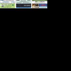 Page B10 | e-Edition | thepilot.com