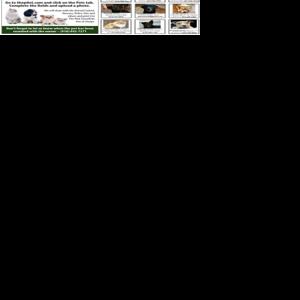 Page B10 | e-Edition | thepilot.com