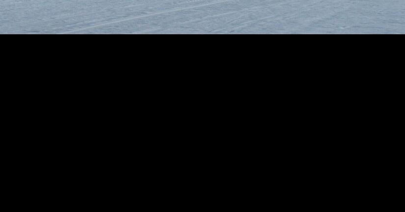 Mush! with Noggin the Sled Dog (and her human) at the PPL during the ...