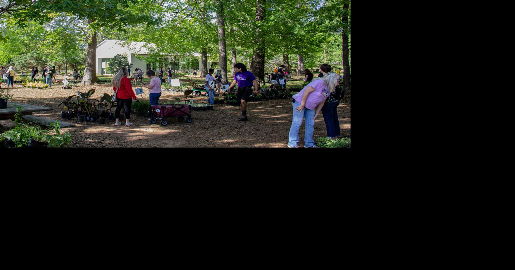 SFA Gardens hosts annual two-day plant sale | Multimedia | thepinelog.com