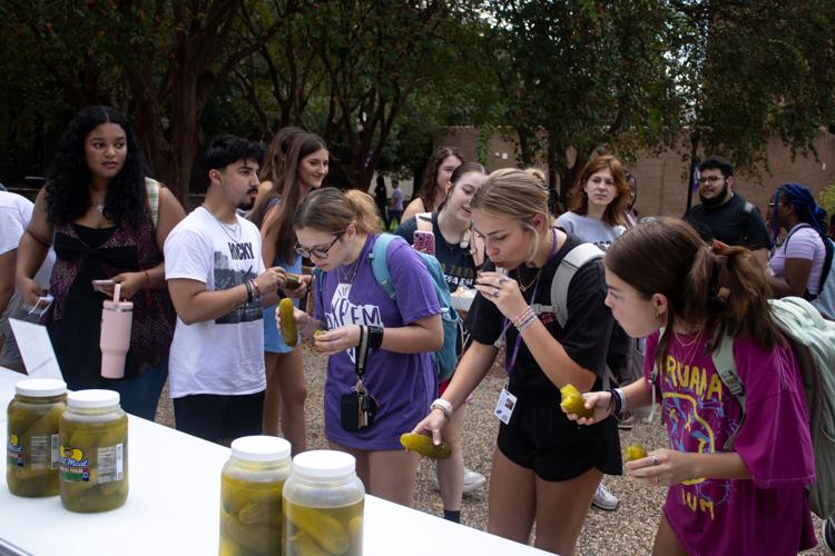 SAA's pickle fest is a big dill among students | Entertainment ...