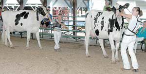 Dairy honors | | thepostandmail.com