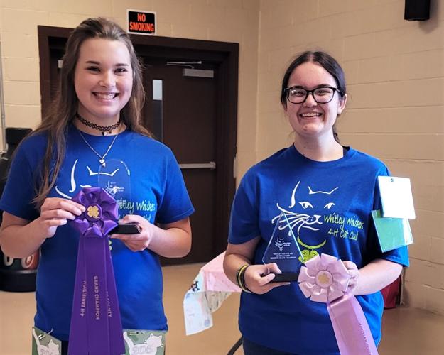 Results are in for the Whitley County 4-H Cat Show | News ...
