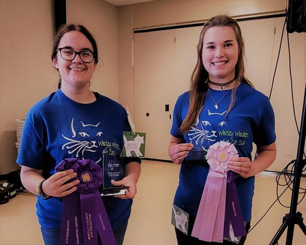 Results are in for the Whitley County 4-H Cat Show | News ...