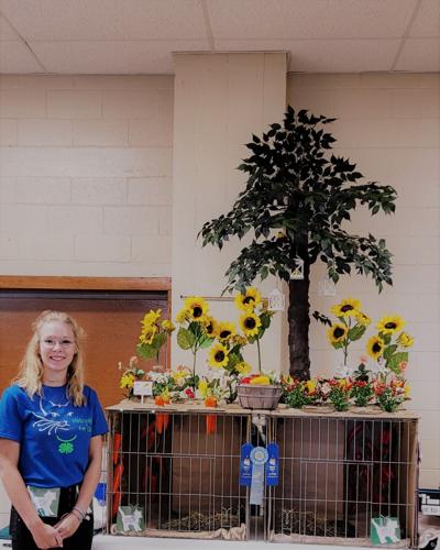 Results are in for the Whitley County 4-H Cat Show | News ...