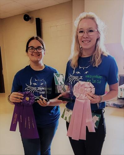 Results are in for the Whitley County 4-H Cat Show | News ...