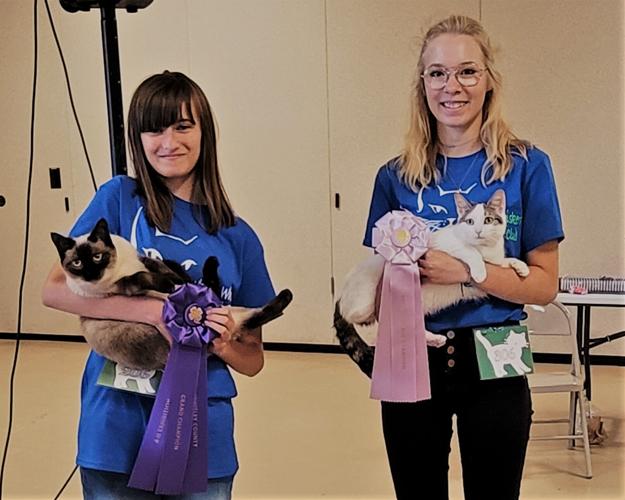 Results are in for the Whitley County 4-H Cat Show | News ...
