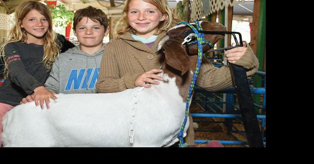 Knightsen Elementary School District enjoys a day at the Contra Costa ...