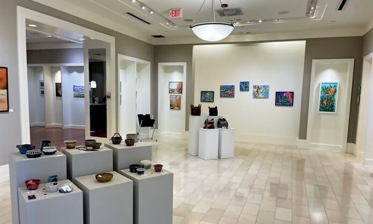 Delta Gallery launches fundraiser to avoid going out of business ...