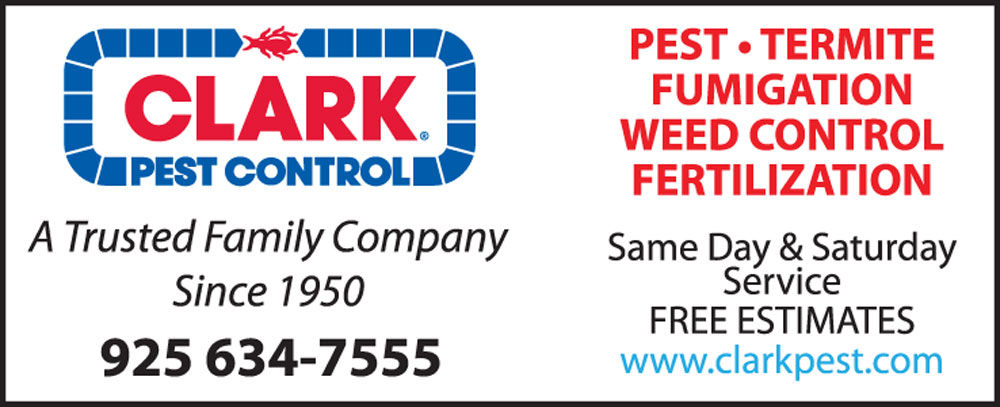 Clark Pest Control | pest control | termite | Brentwood, CA | thepress.net