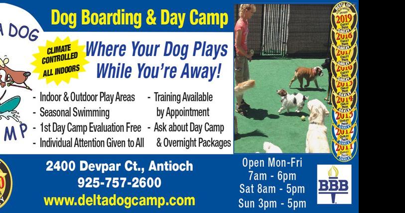 Delta Dog Camp | | thepress.net