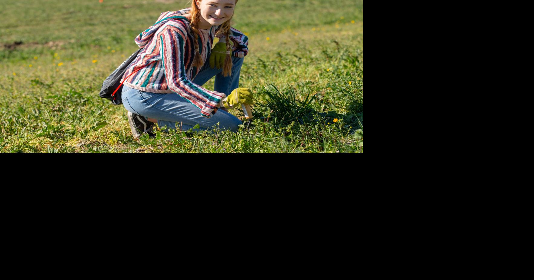 [Photos] Dutch Slough Tidal Marsh Restoration Project | Slideshows ...
