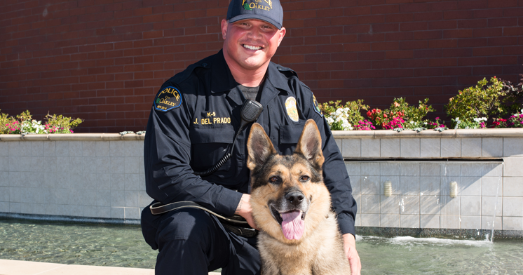 Meet the Beat – Officer Joshua Del Prado and Koda | Features | thepress.net