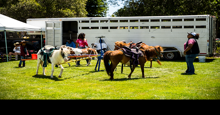 [Photos] Antioch celebrates Juneteenth in Williamson Ranch Park ...