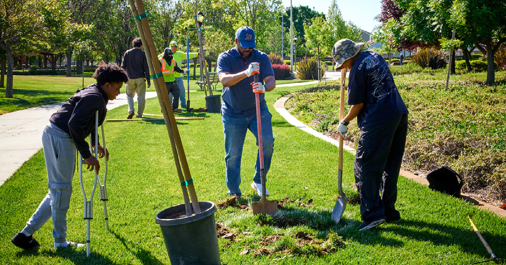Brentwood’s Day of Service called a success | Features | thepress.net