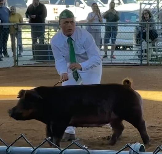 Knightsen boasts oldest 4-H club in county | Brentwood | thepress.net