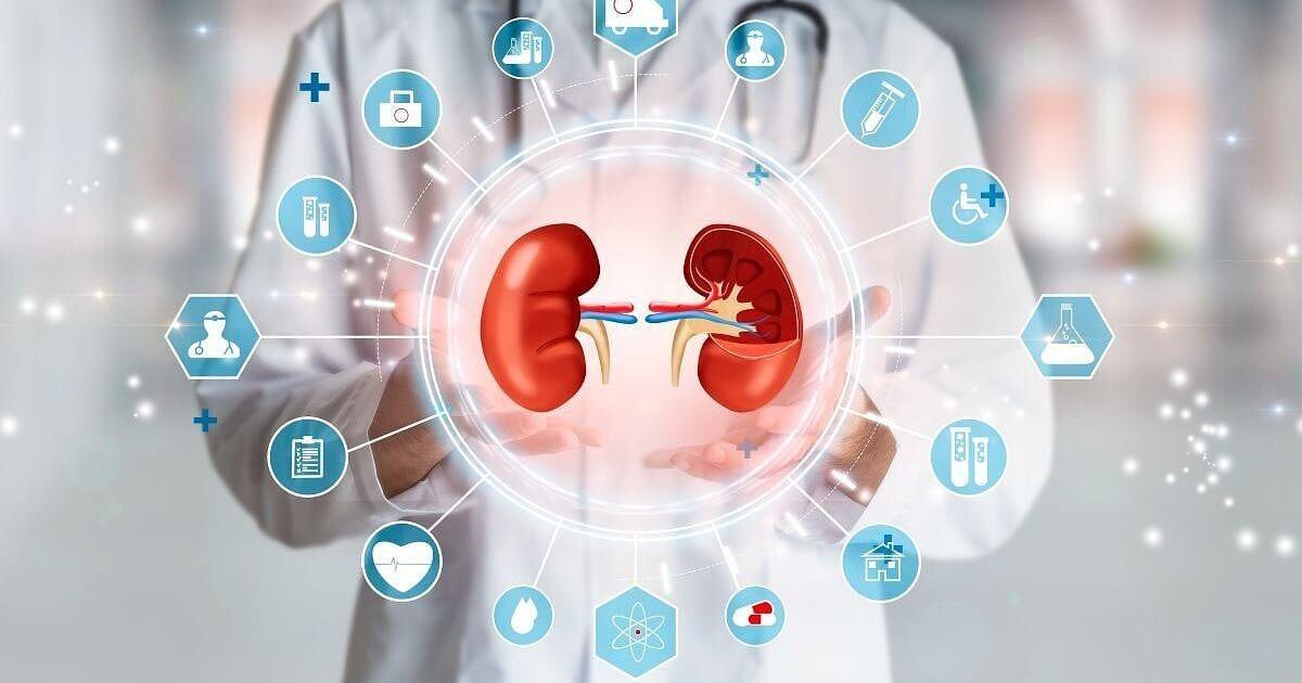 Poor Kidney Health Might Influence Dementia, Alzheimer's Risk | Health ...