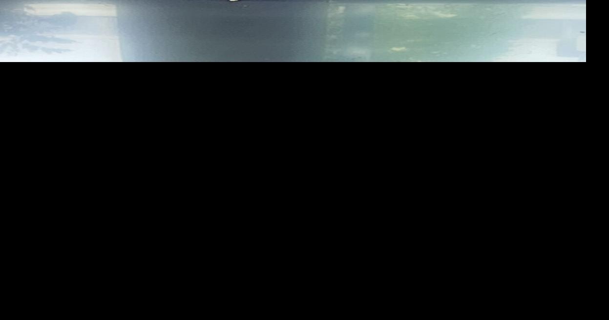 [Photos] Jim Wangeman turns 85 | Multimedia | thepress.net