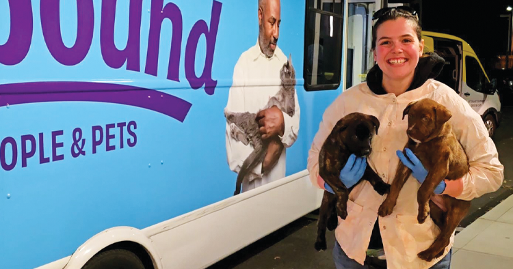 Displaced animals from L.A.-area wildfires transported to local rescues ...