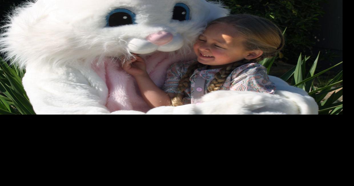 A bunny hug | News | thepress.net