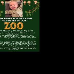'Teddy Bears for Grayson' kicks off Sept. 1; here's how to donate to ...