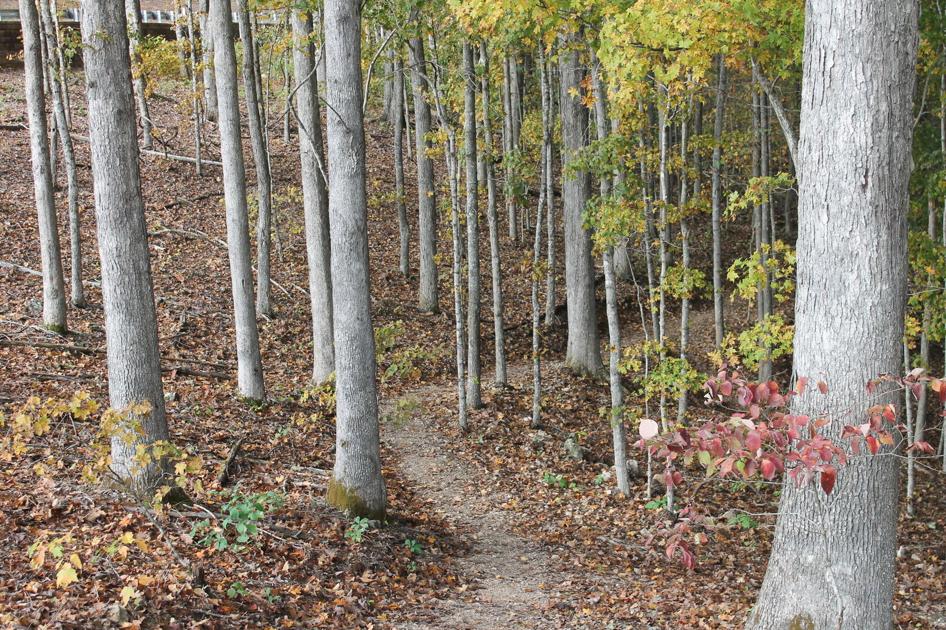 Hit the trails! The top 10 hiking destinations within an hour of Salem ...