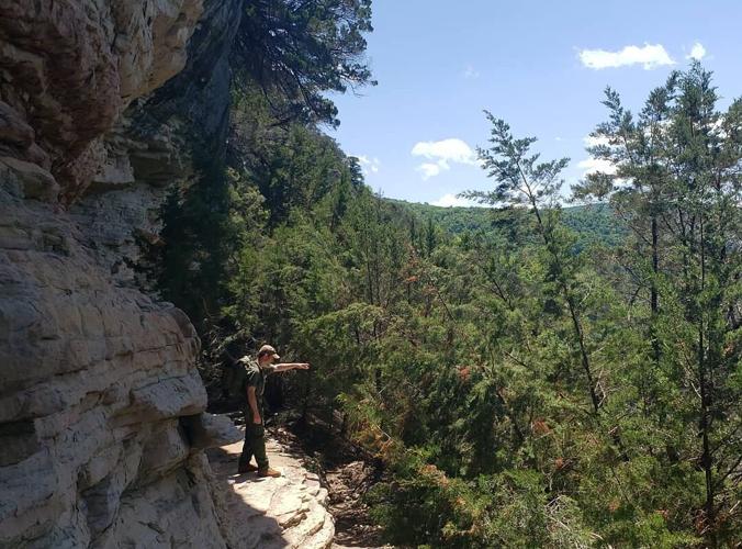 One man's journey through Alpha-Gal | News | thesalemnewsonline.com