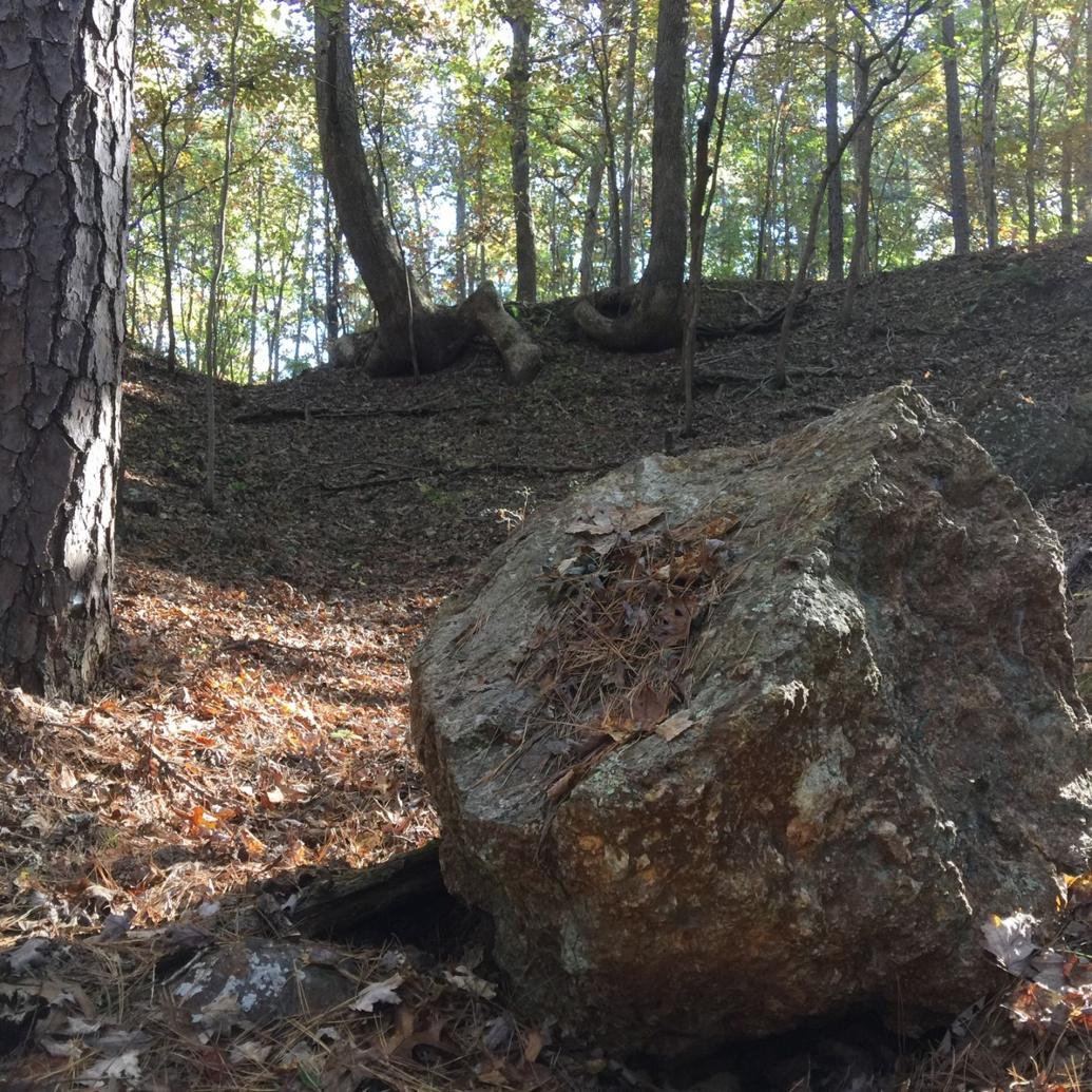 Hit the trails! The top 10 hiking destinations within an hour of Salem ...