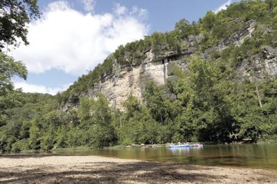 Vilander Bluff is an Ozarks gem of rare life | Dent County Life ...