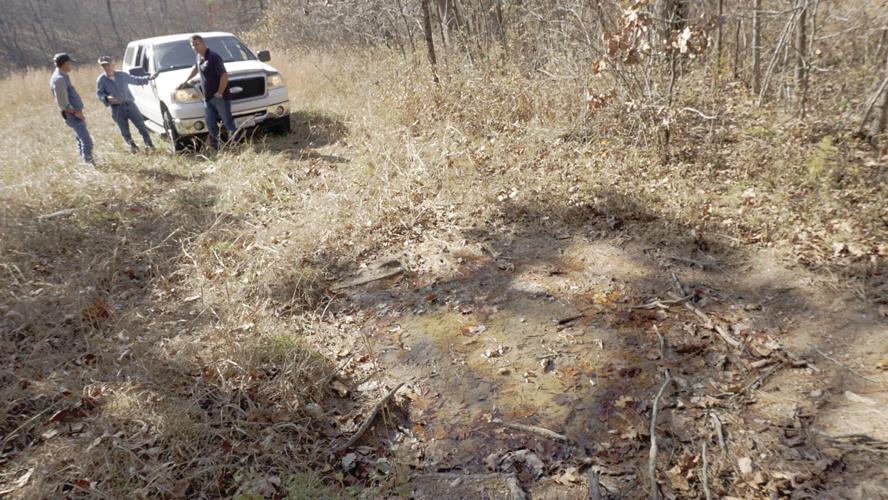 Feral hogs a menace in South Central Missouri | Local News ...