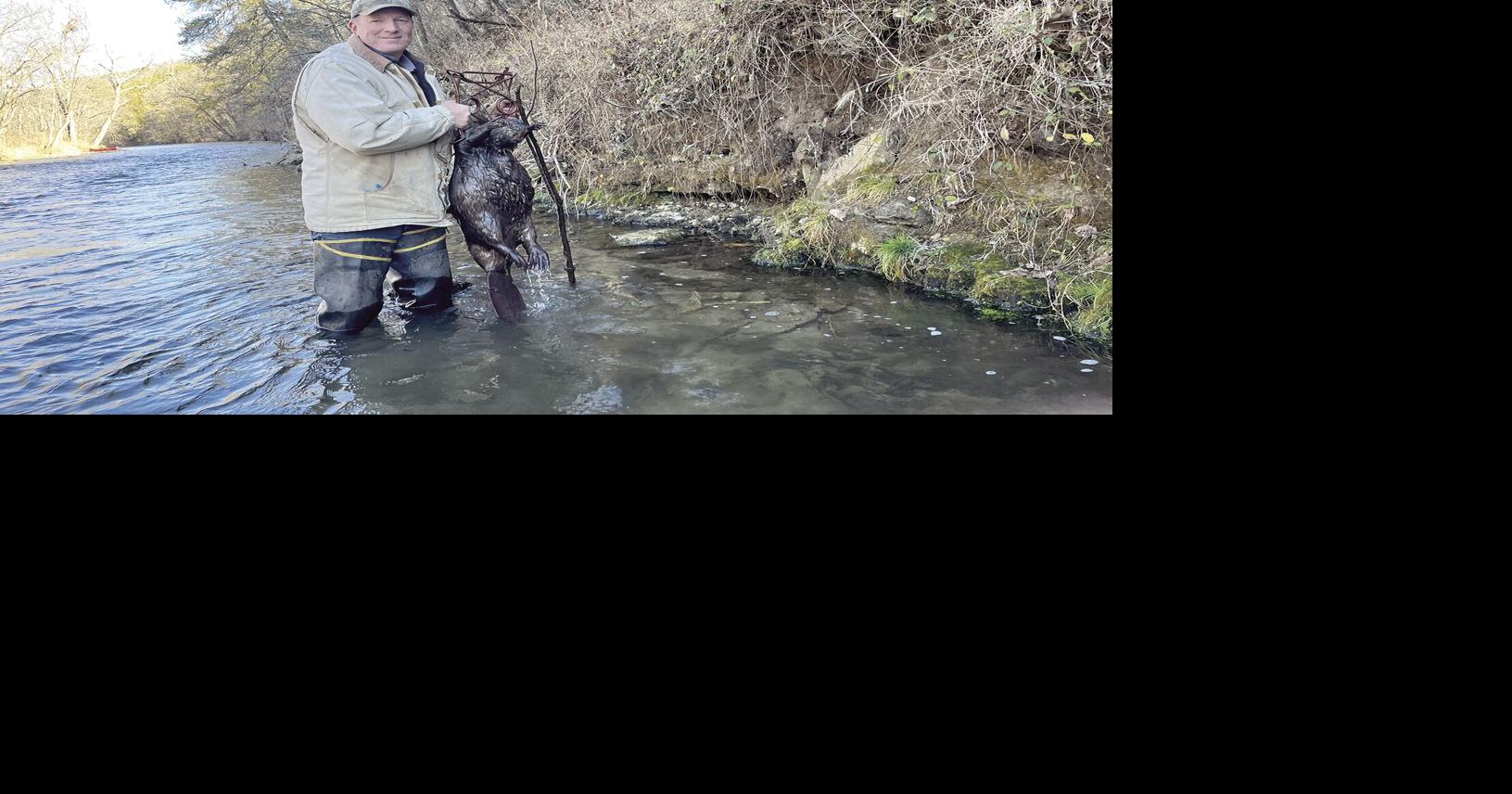 Trapping is an age-old practice still alive in Missouri | News ...
