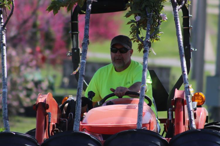 Spring Creek Garden Club plants over two dozen trees in City Park ...