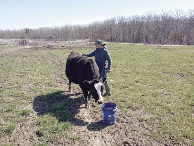 Mobray building his career with livestock shows | | thesalemnewsonline.com