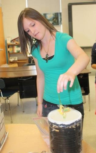 Serendipity provides fun, educational day for students | Multimedia ...