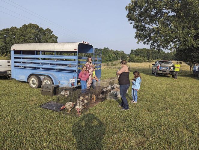 TURTLE COVE FARMS: Building community through monthly animal swaps ...