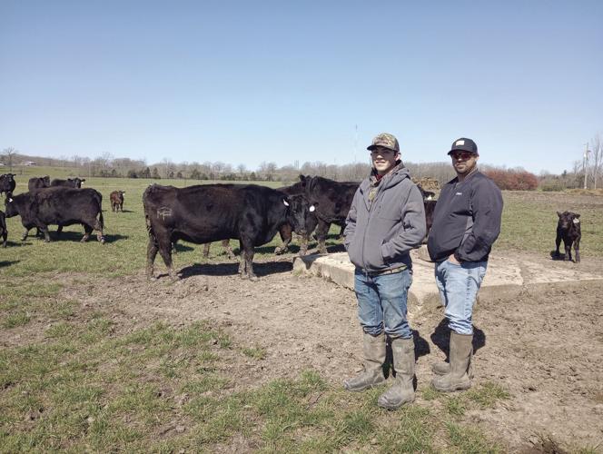 Mobray building his career with livestock shows | | thesalemnewsonline.com