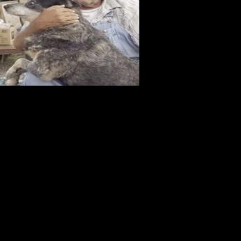 Kenneth “Butch” Michael Bell | Obituaries | thesalemnewsonline.com
