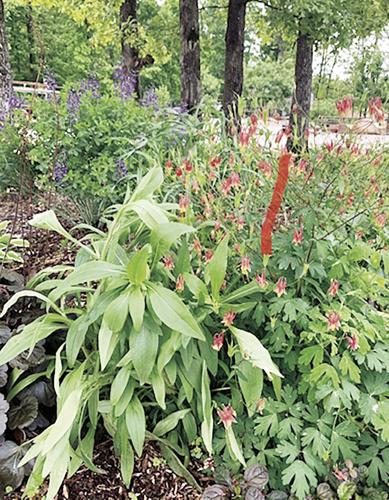 OCTOBER YARD OF THE MONTH | | thesalemnewsonline.com